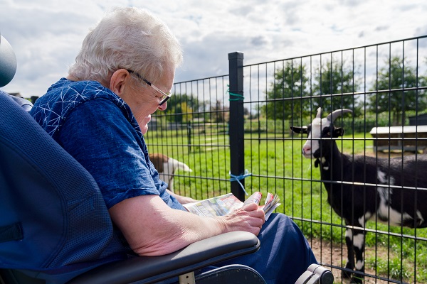 Veranderingen in dagbesteding voor cliënten en begeleiders* - Nieuws Klik